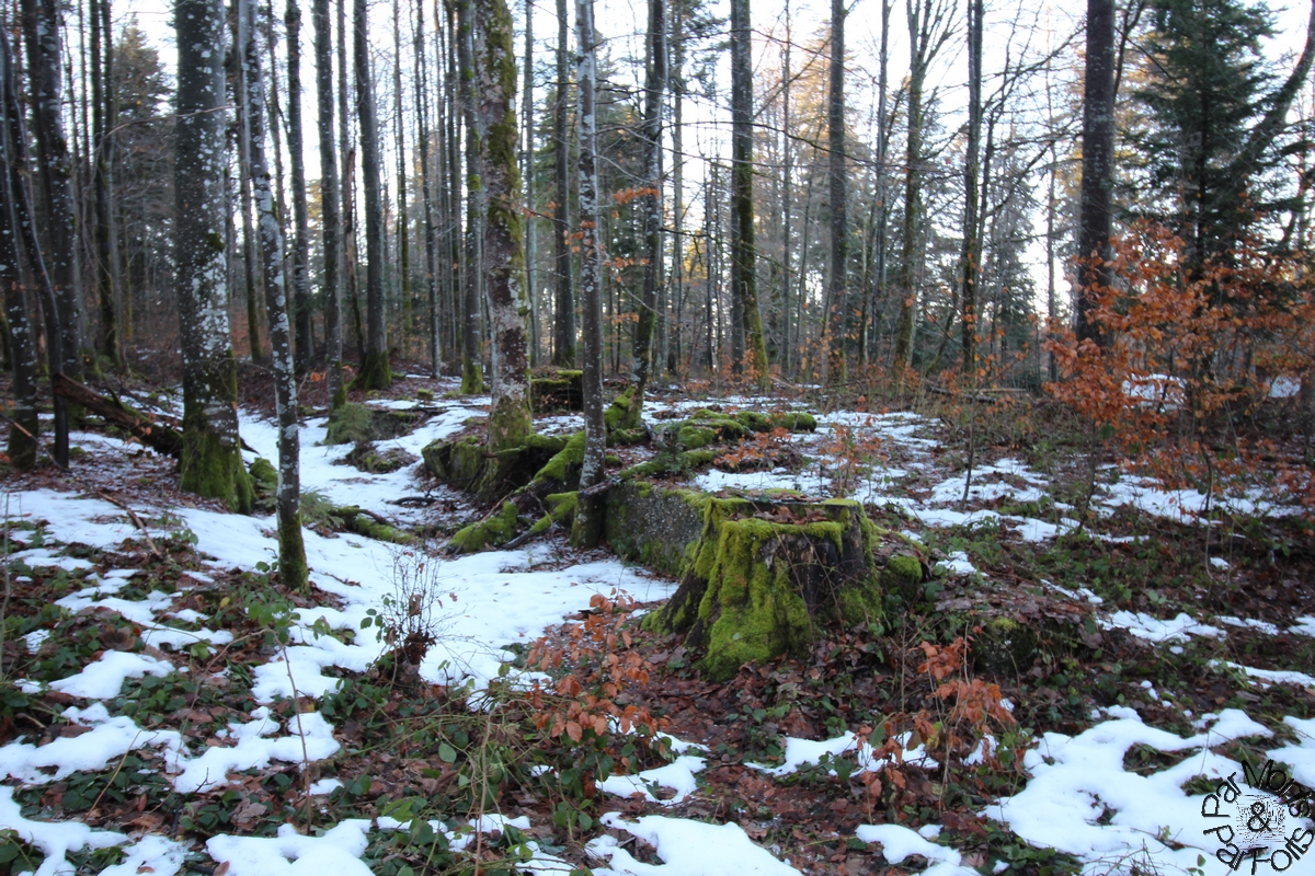 Donon – Le sentier des Fortins – Par Monts et par Forts